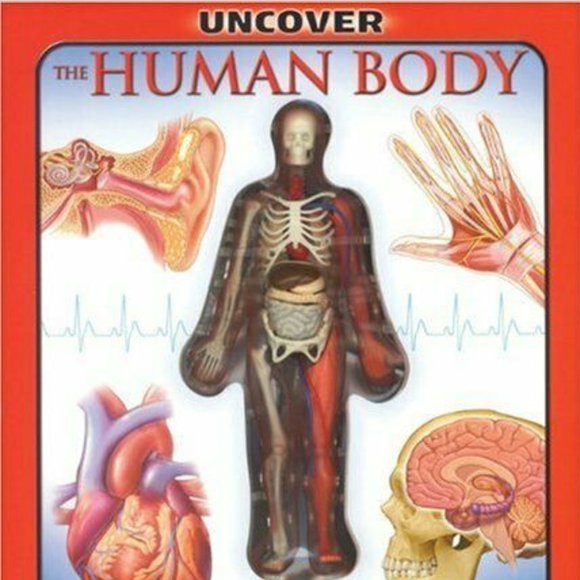 Uncover Books | Other | Uncover The Human Body By Columbo Jennifer Kit ...